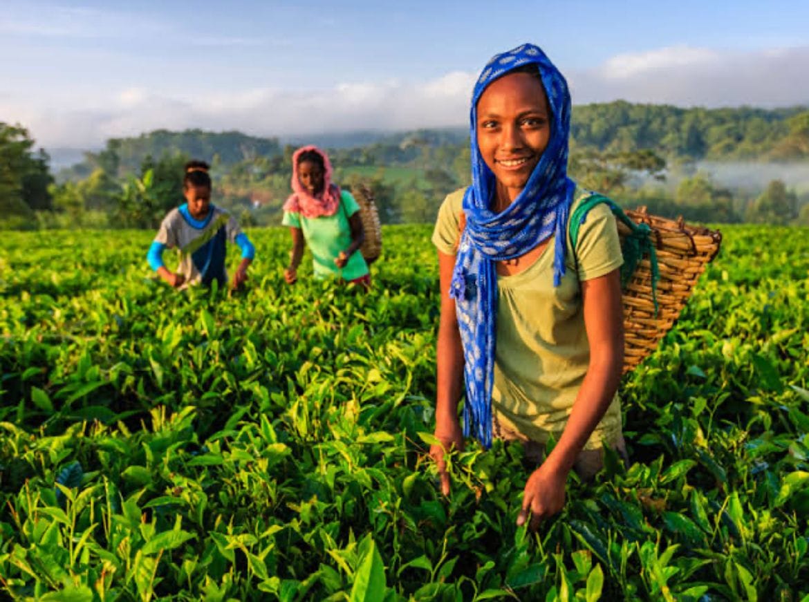 Top 5 African Countries With The Fastest-Growing Economies